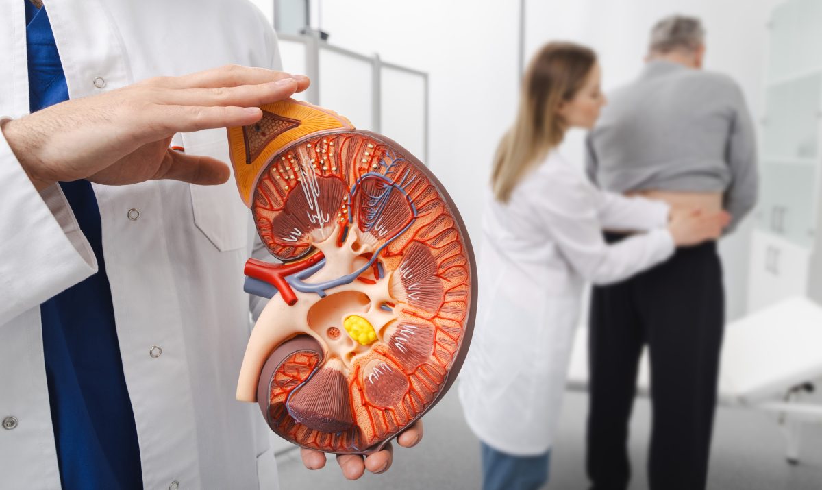 A Hidden Threat: Understanding Kidney Cancer & Prevention | SJMC